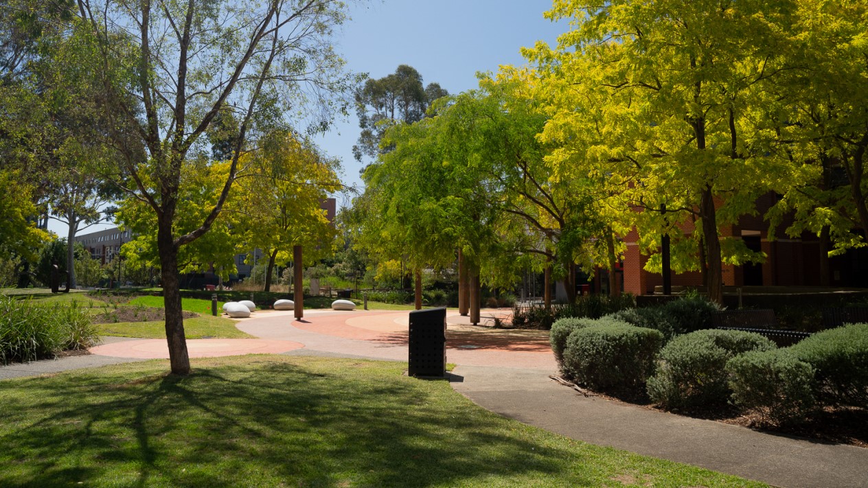 Indigenous Learning Circles | Swinburne