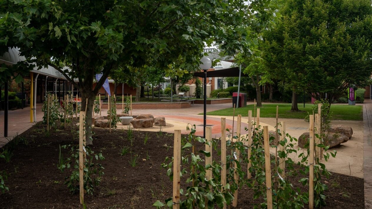 Indigenous Learning Circles | Swinburne