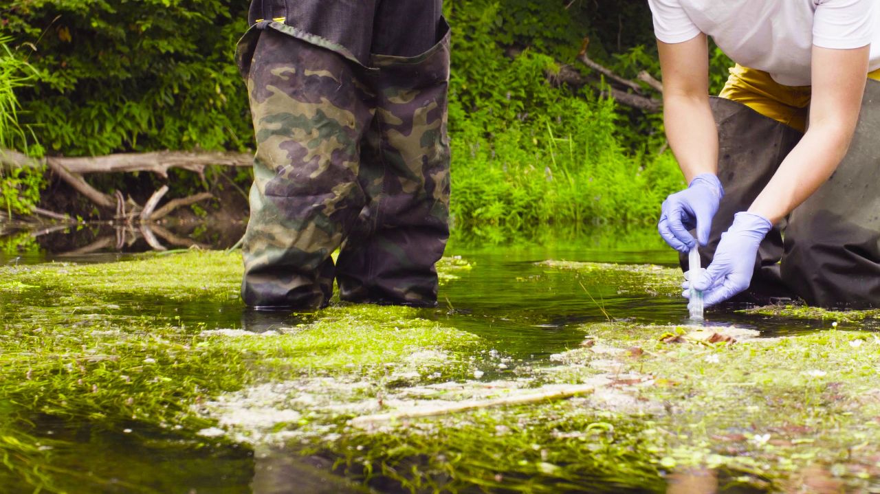 Environmental Science Degrees & Courses in Melbourne | Swinburne