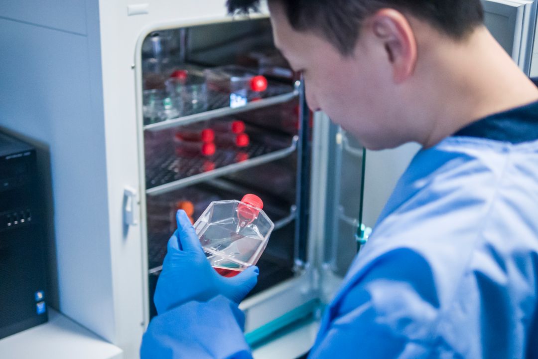 Biotechnology Courses & Degrees in Melbourne